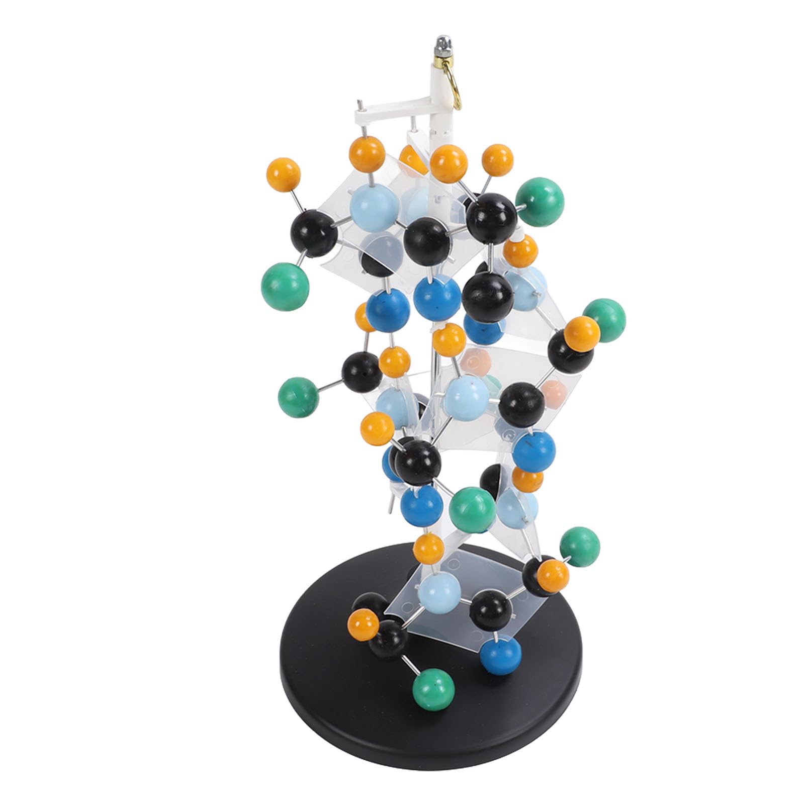 How To Make A Protein Molecule Model Protein Molecular Model With