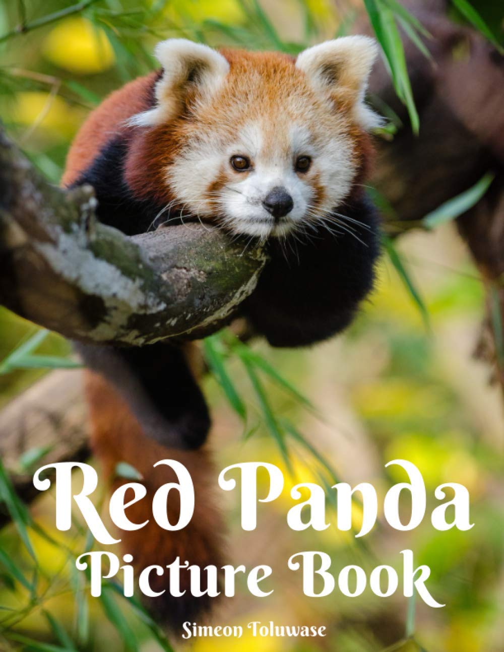 Buy Red Panda Picture Book: A Gift Book for Alzheimer's Patients and ...
