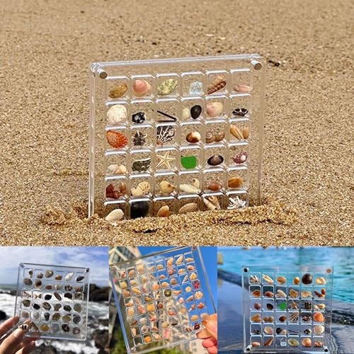 Amazon.com: Acrylic Magnetic Seashell Display Box Sea Shell Display ...
