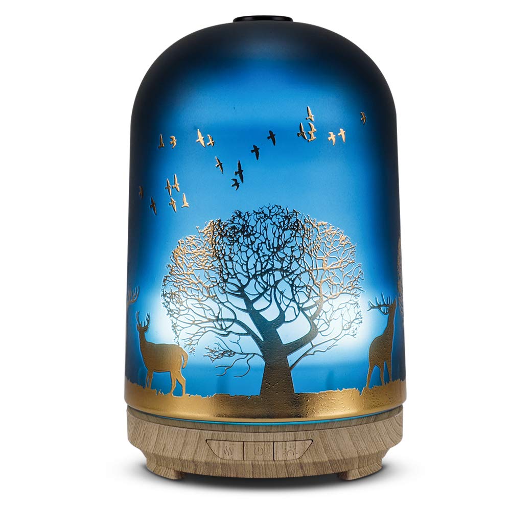 Amazon.com: Essential Oil Diffuser 120ml Glass Vase Fragrance Diffuser ...