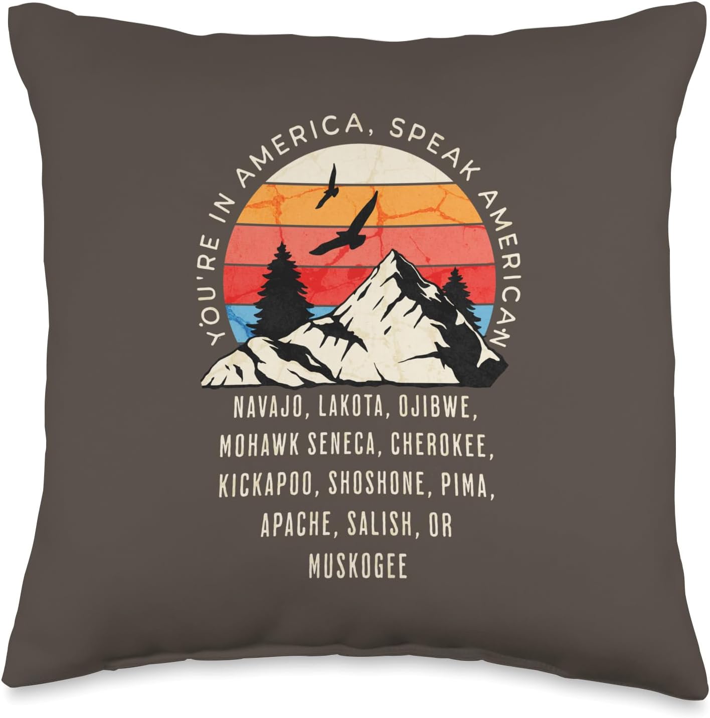 Amazon.com: Speak American Native American Tribes Languages Diversity ...