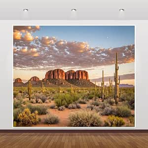 Amazon.com : Desert Backdrops for Photoshoot 10x10ft Vinyl Western ...