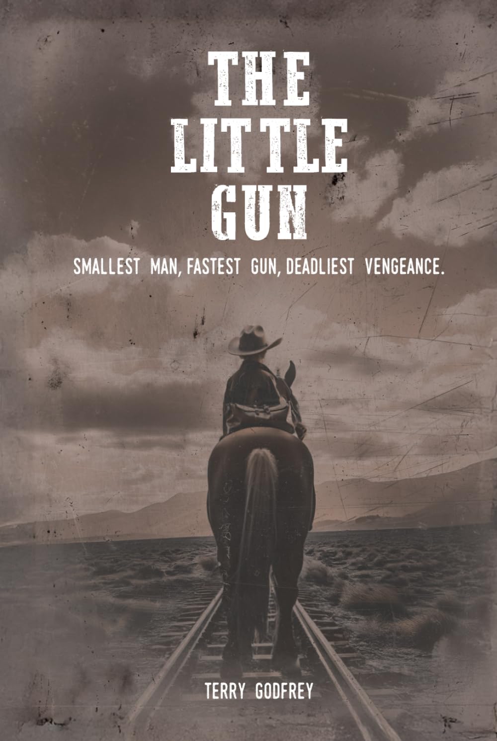 The Little Gun: Godfrey, Terry: 9781965142738: Amazon.com: Books