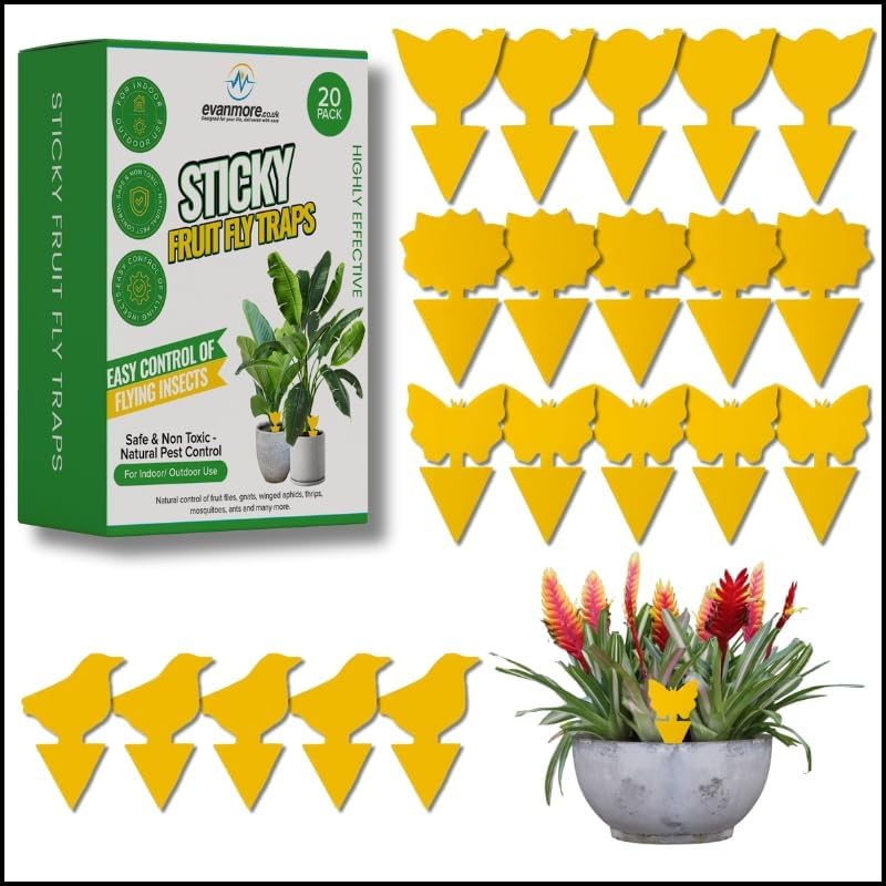 Fruit Fly Traps Trap Indoor Sticky Yellow For Home Use Protect Plants ...