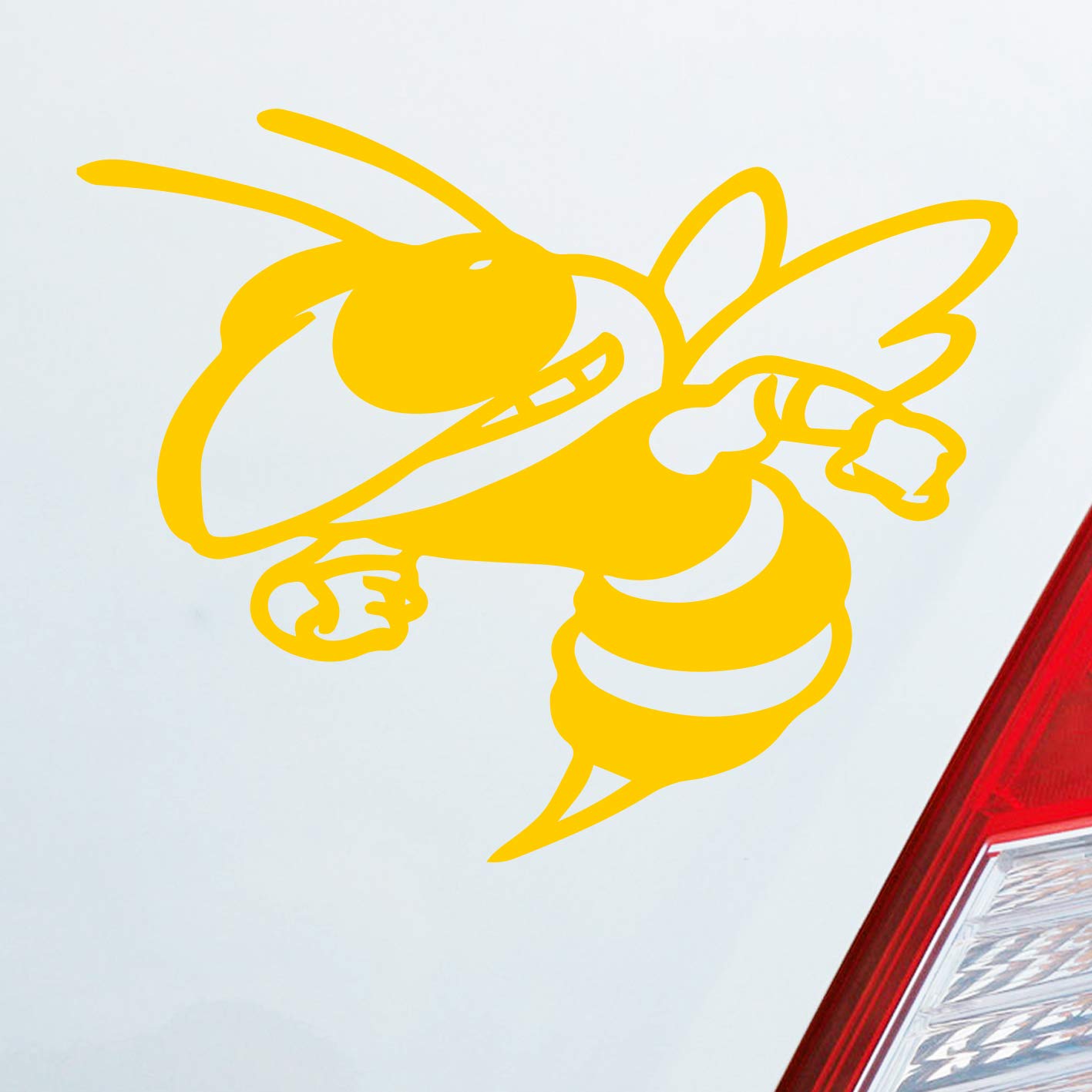 Woodstock Killer Bee Florida Man Survives Killer Bee Attack While