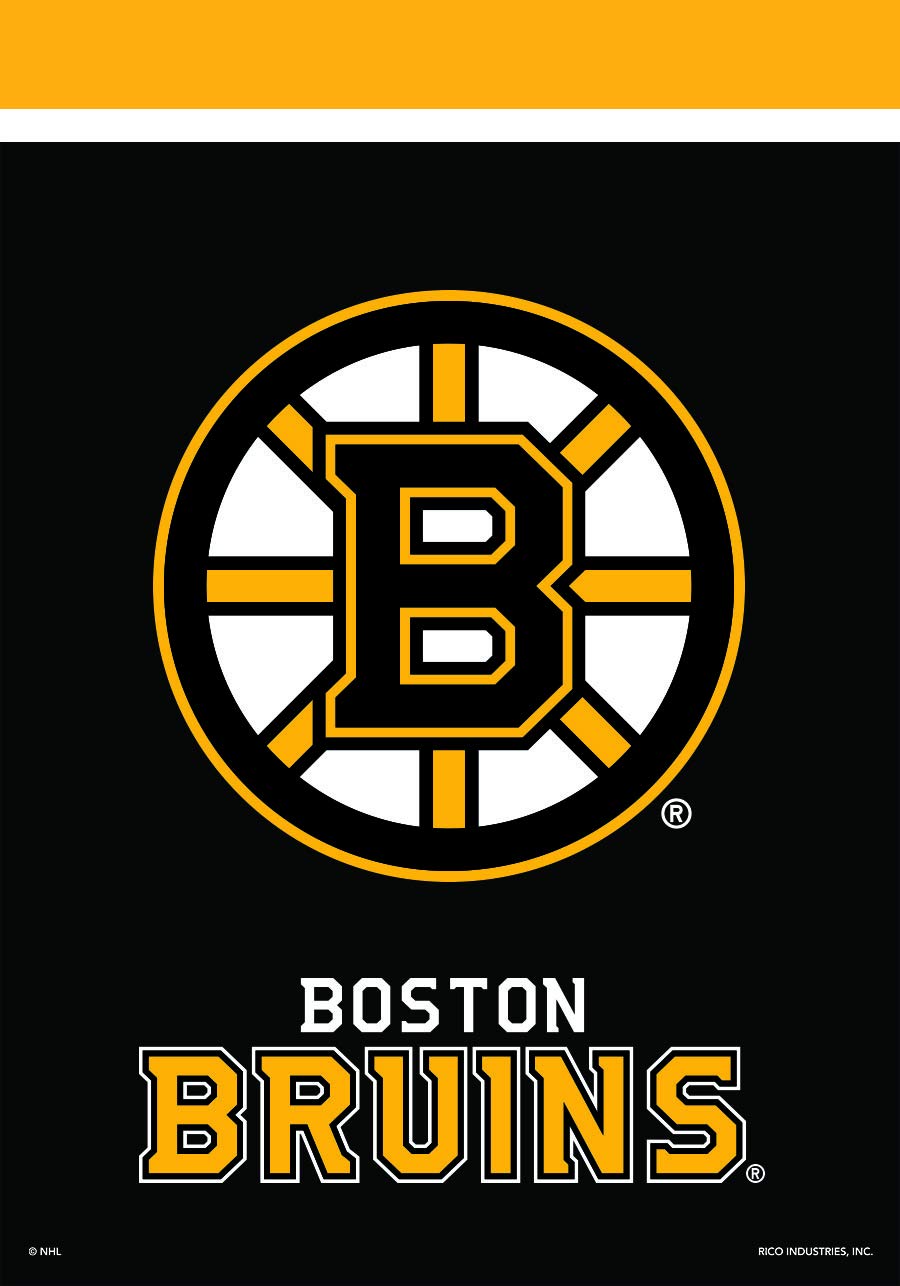 Bruins Flag