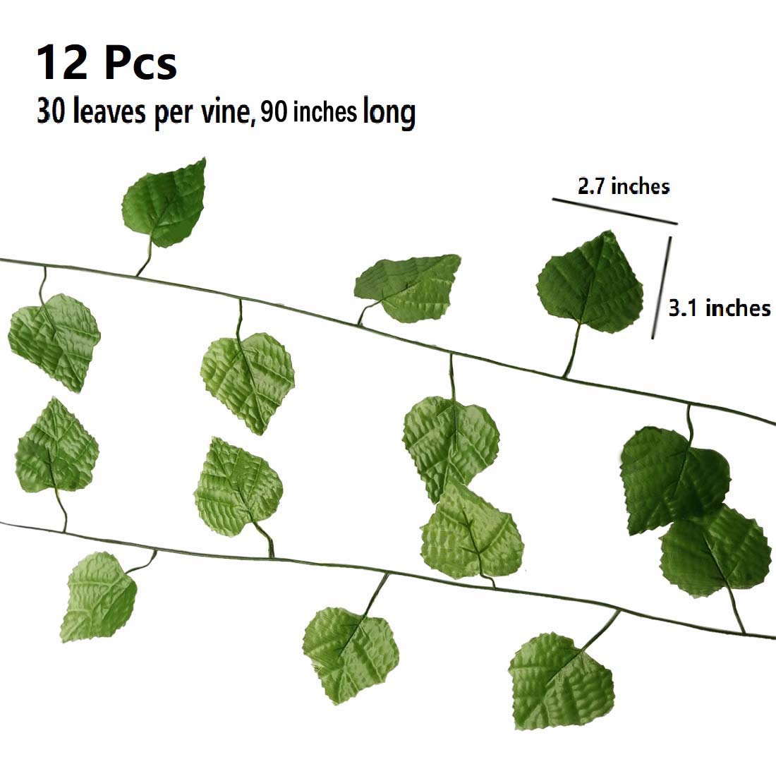 Types Of Vine Leaves