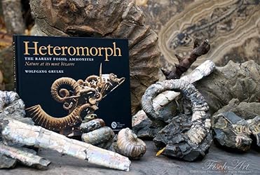 Heteromorph: The Rarest Fossil Ammonites: Nature at its Most Bizarre ...