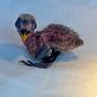 Amazon.com : Shitailu 100 Pieces Baby Chicken Splay Leg Hobble Brace ...