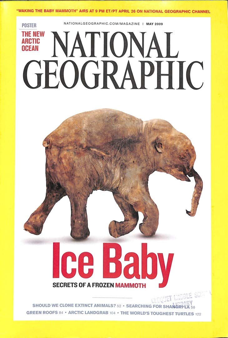 National Geographic Pictures Of The Year 2009 Blue Whale Photo In