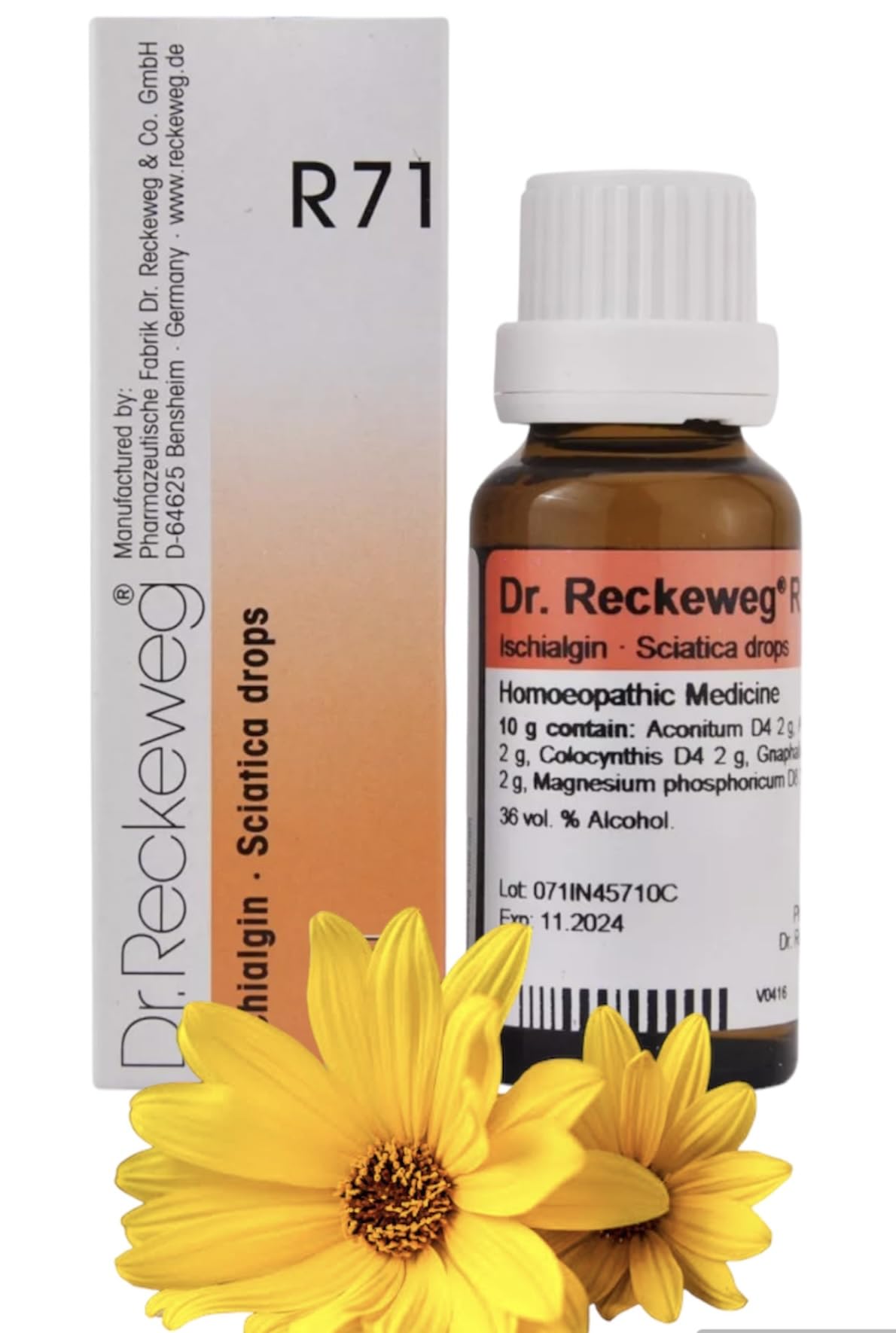 Dr Reckeweg R71 Sciatica Drops Homeopathy (22ml) - 30 DAYS PACK ...
