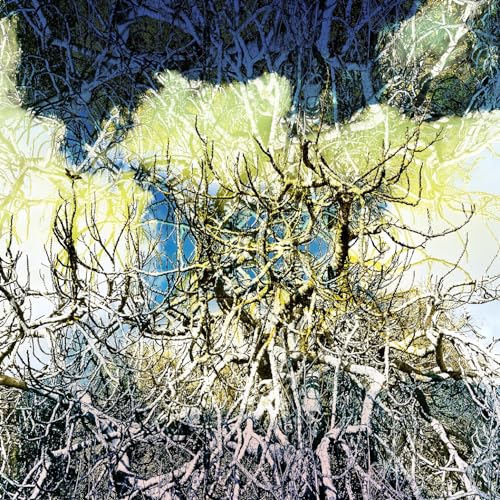 Amazon MusicでJoão Orecchia & Sicker ManのApertureを再生する