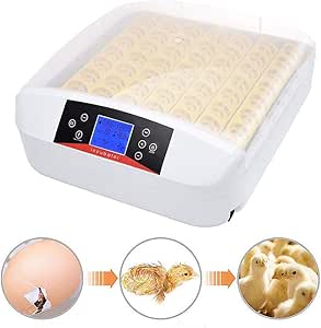 Amazon.com: FBITE 56 Egg Incubator Digital Temperature Humidity Control Poultry Hatcher ...