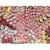 Amazon.com : Mix MIni Blind Box Rare Live Succulent Plants, 1.5-2 ...