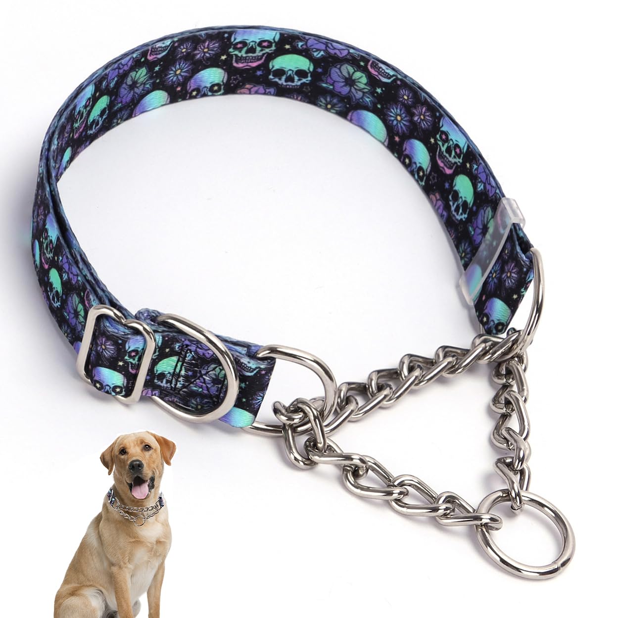 Amazon.com : Stainless Steel Chain Martingale Collar for Dogs, No Pull ...