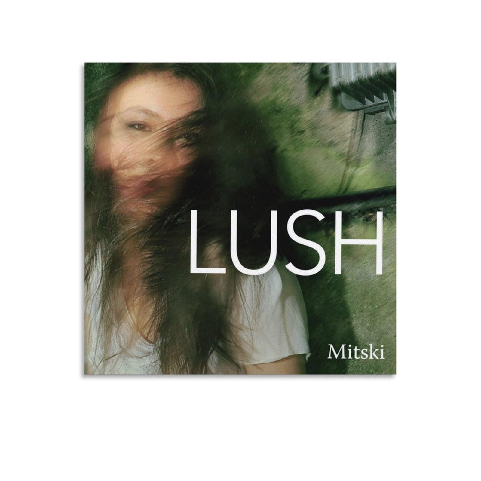 Amazon.com: Singer Mitski Albums Lush Poster Wall Art Poster Scroll ...