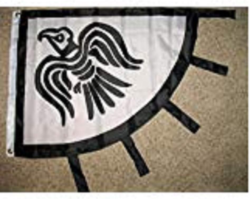 Amazon.com : Scandinavian Viking Raven Flag 3 x 4 Foot Red and Black ...