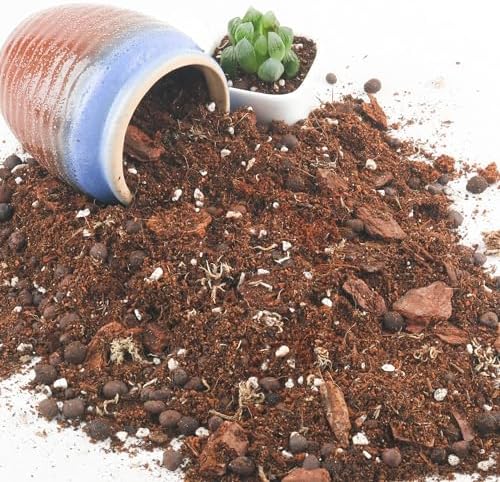 Amazon.com : Orchid Bark Potting Mix 3Quart, Mix Pine Bark, Organic ...