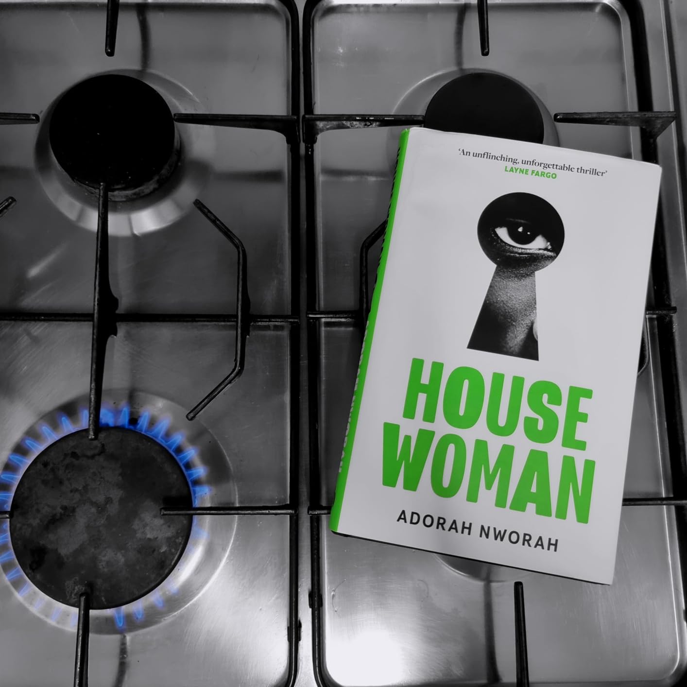 House Woman: A chilling new domestic literary thriller, perfect for ...