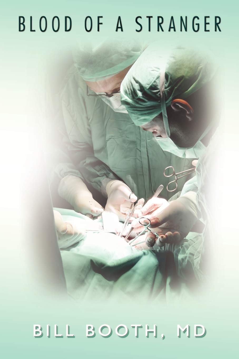 Blood of a Stranger: Booth, William: 9781434322340: Amazon.com: Books