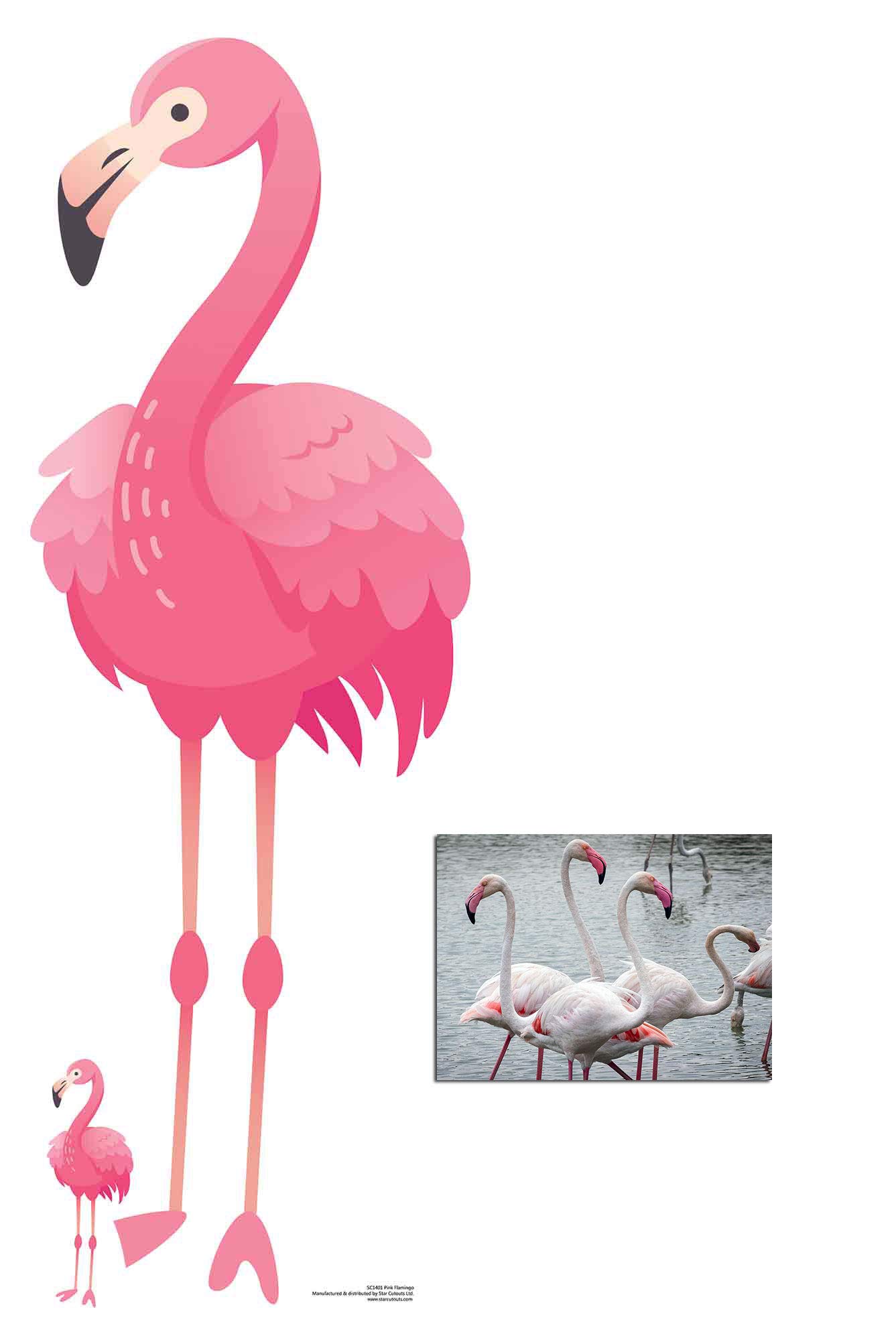 BundleZ-4-FanZ Pink Flamingo Lifesize Cardboard Cutout Fan Pack, 150cm ...