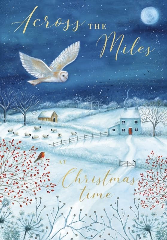 Abacus Cards Across the Miles Christmas Card - Barn Owl and Snowy ...