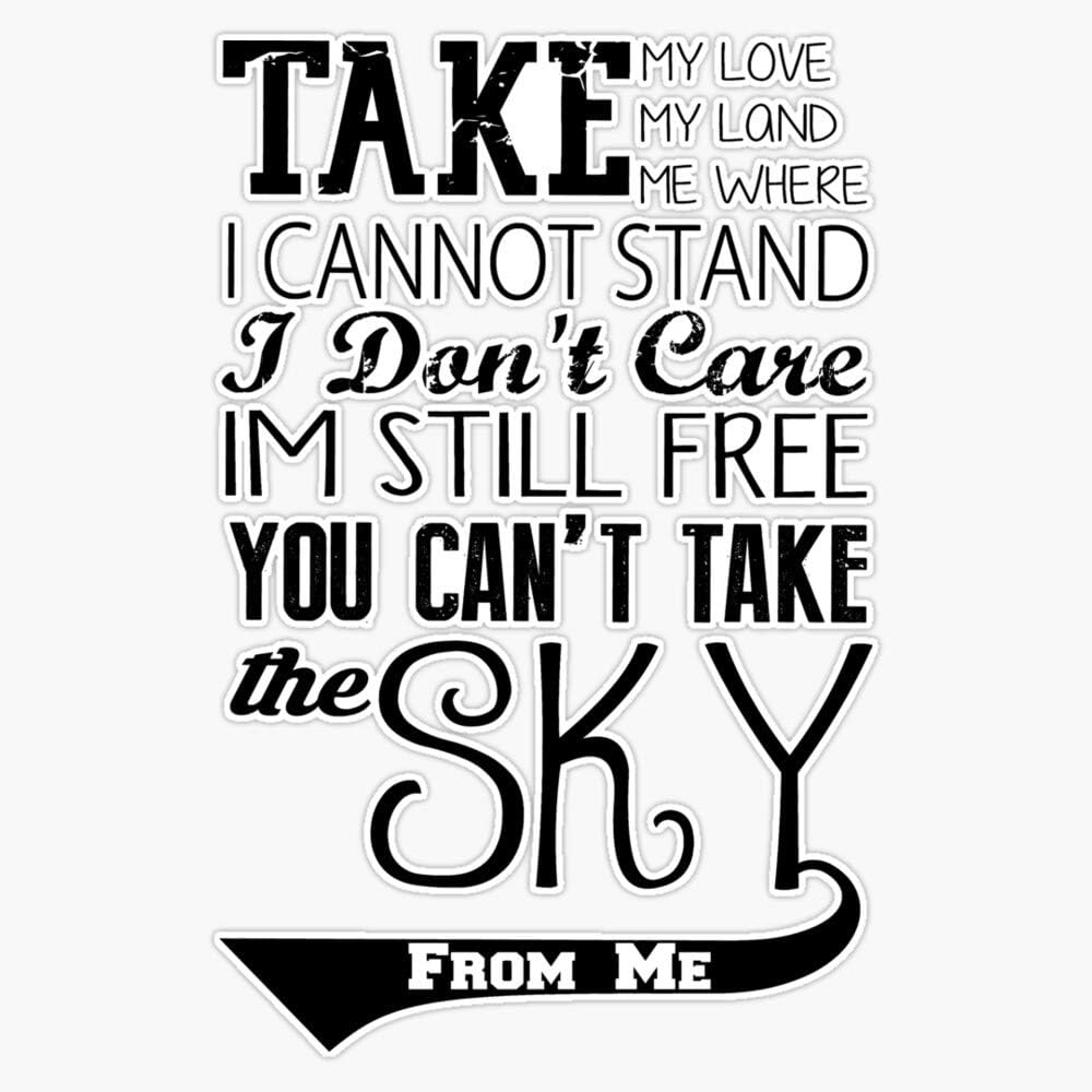 Amazon.com - Firefly Theme Song Quote Vinyl Waterproof Sticker Decal ...