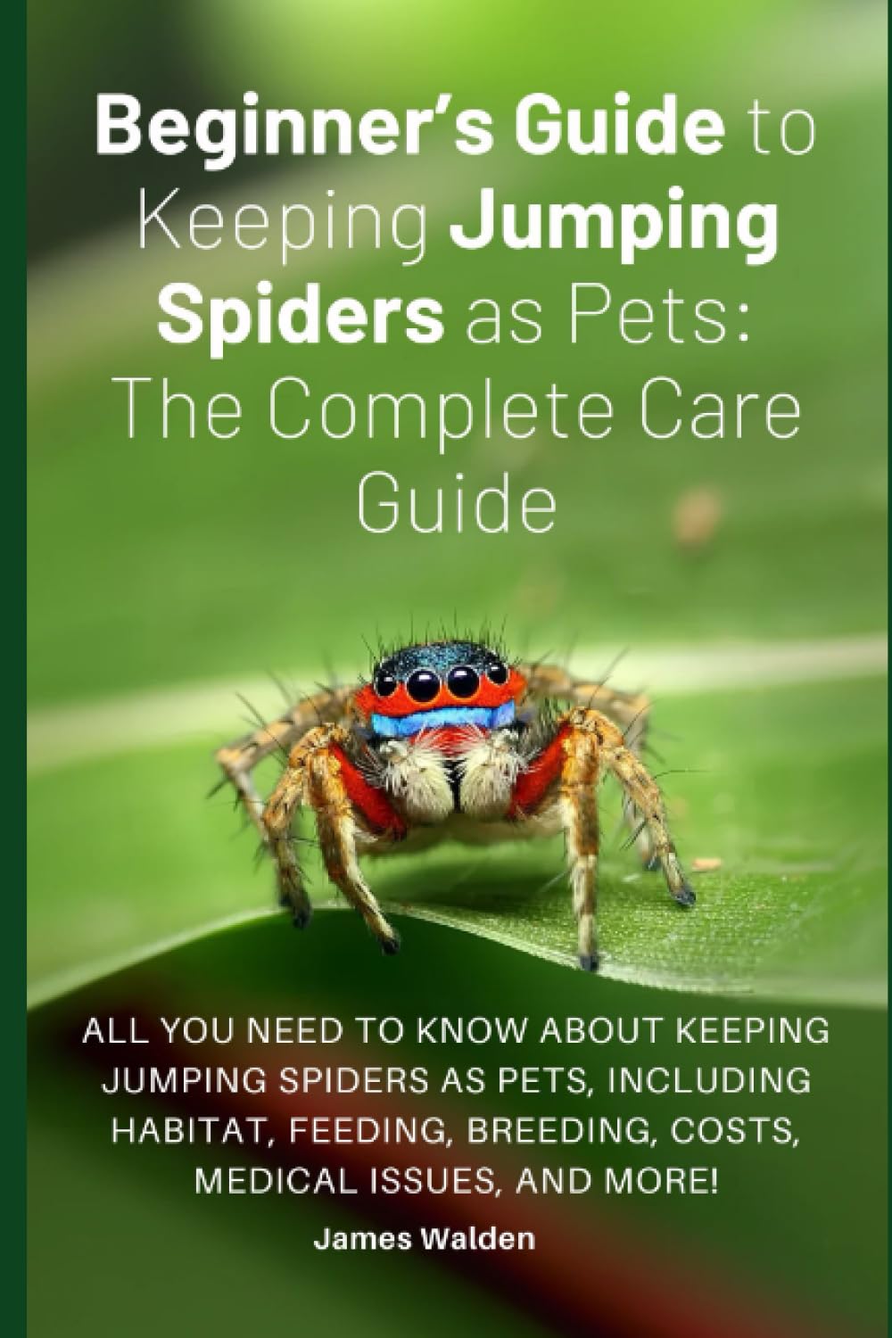 Buy Beginner’s Guide to Keeping Jumping Spiders as Pets: The Complete ...