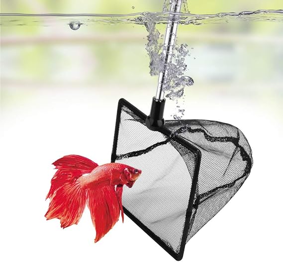 Amazon.com : DaToo 5 Inch Aquarium Fish Net for Betta Fish Tank Nano ...