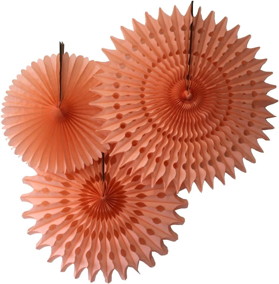 Amazon.com: Set of 3 Honeycomb Tissue Fans, Gray (13-21 Inch) : Home ...