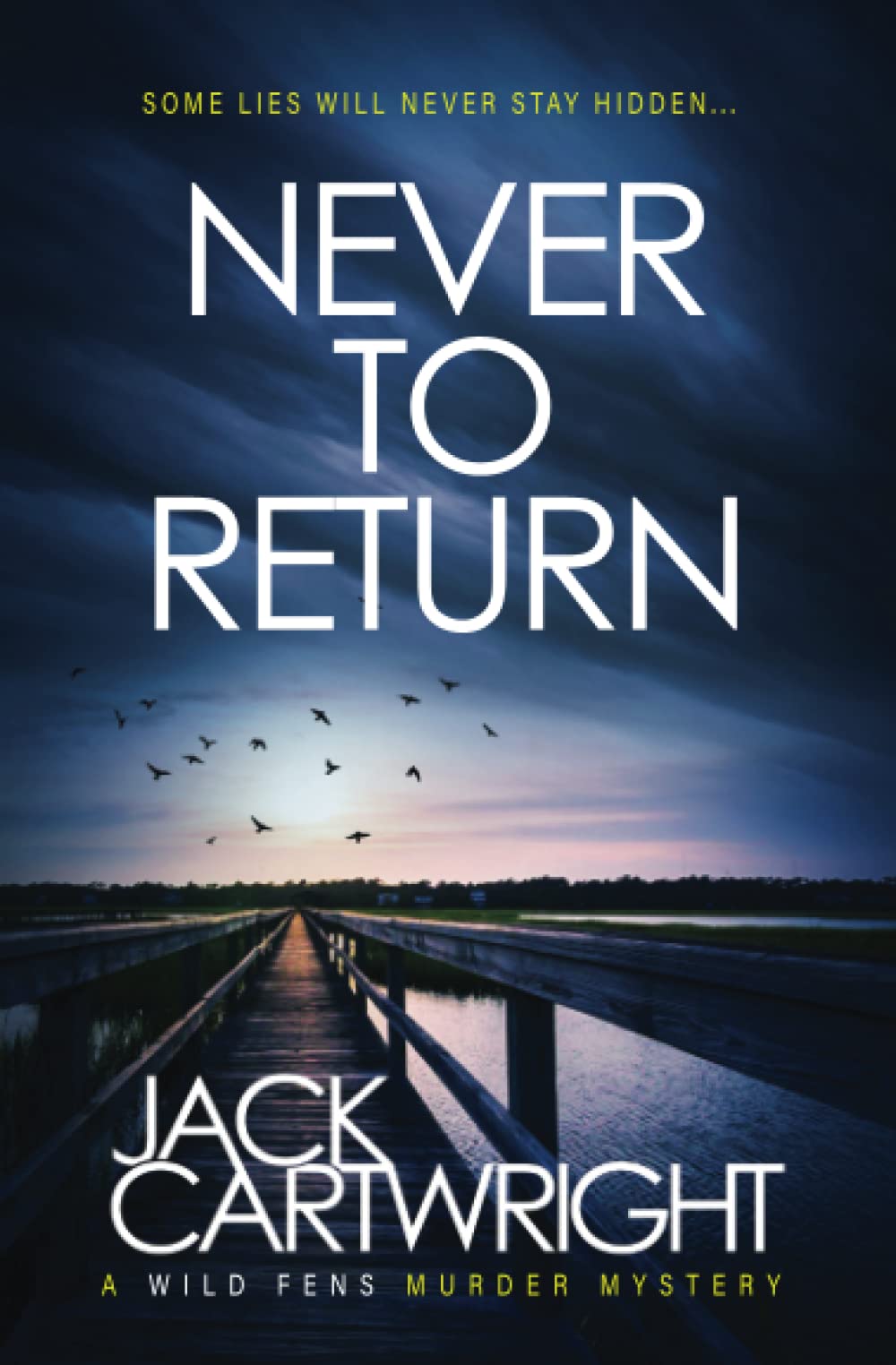 Never To Return: A Wild Fens Murder Mystery (The Wild Fens Murder ...