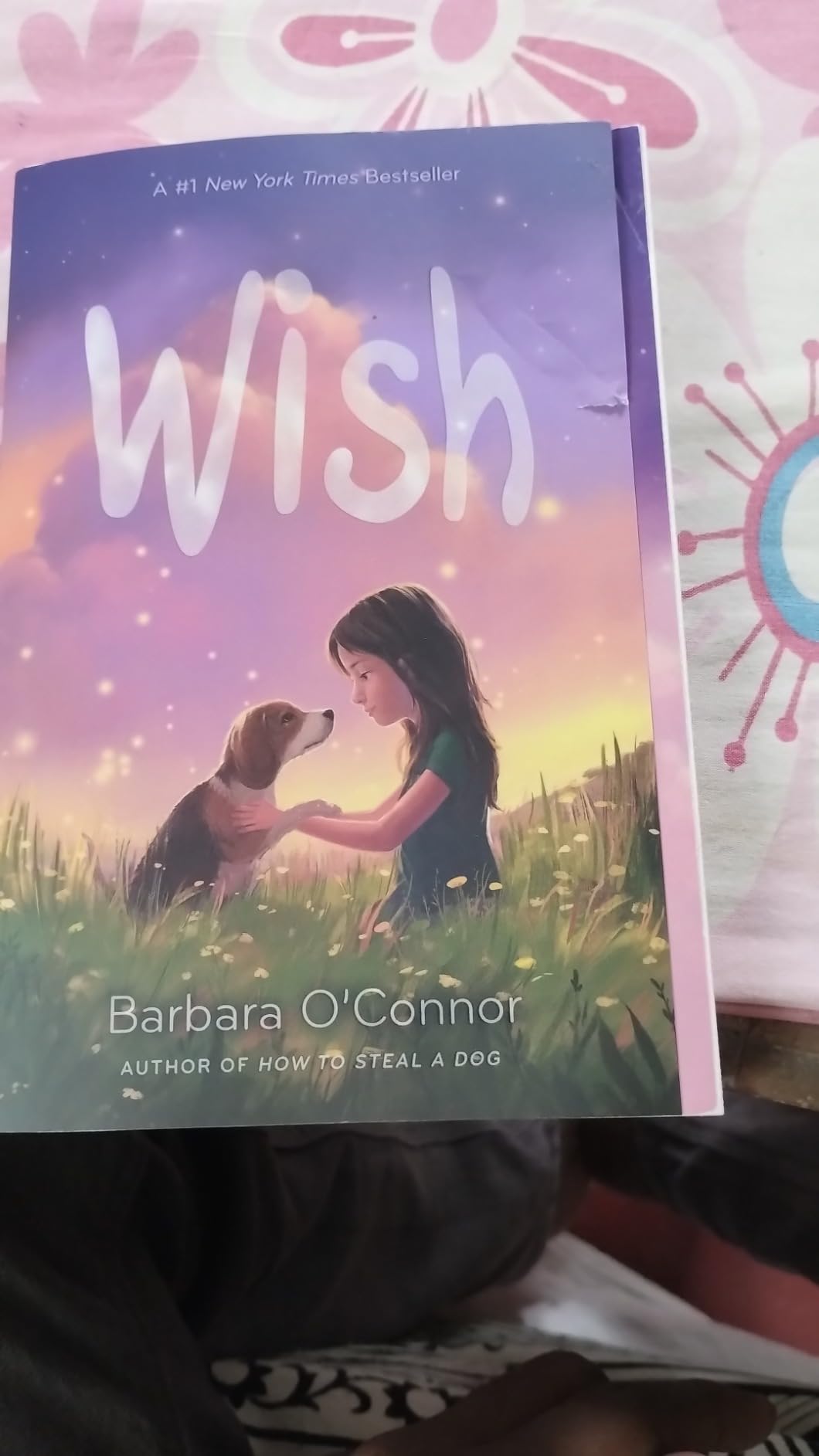 Wish : O'Connor, Barbara: Amazon.in: Books