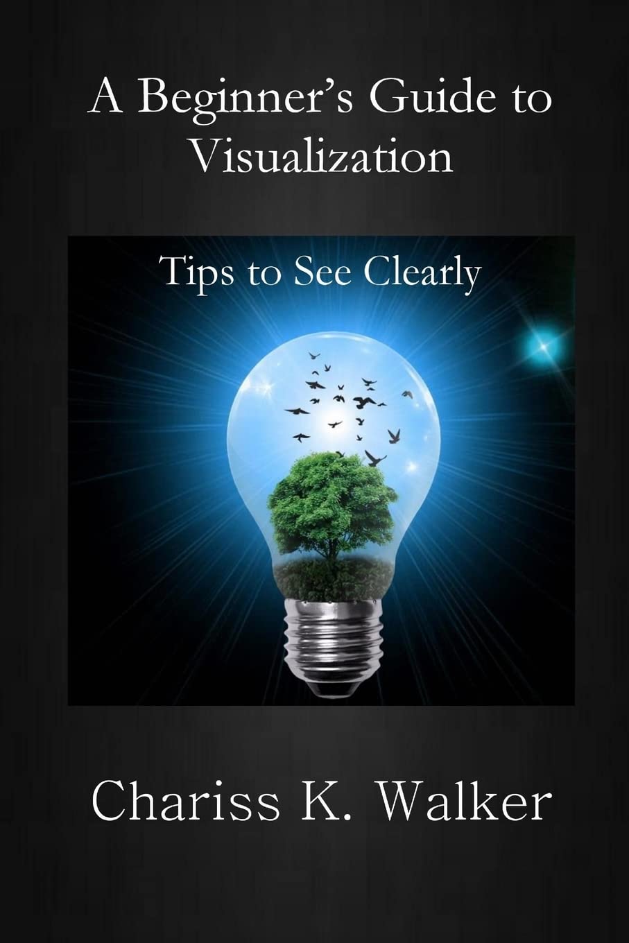 A Beginner's Guide to Visualization: Tips to See Clearly (A Beginner's ...