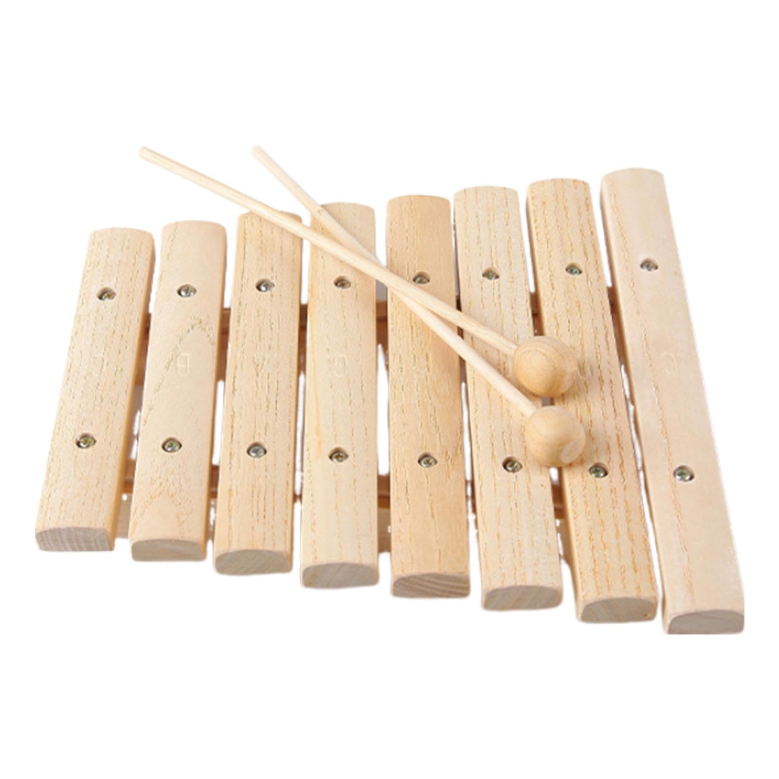 Xylophone Xylophone Isolated Musical Instruments
