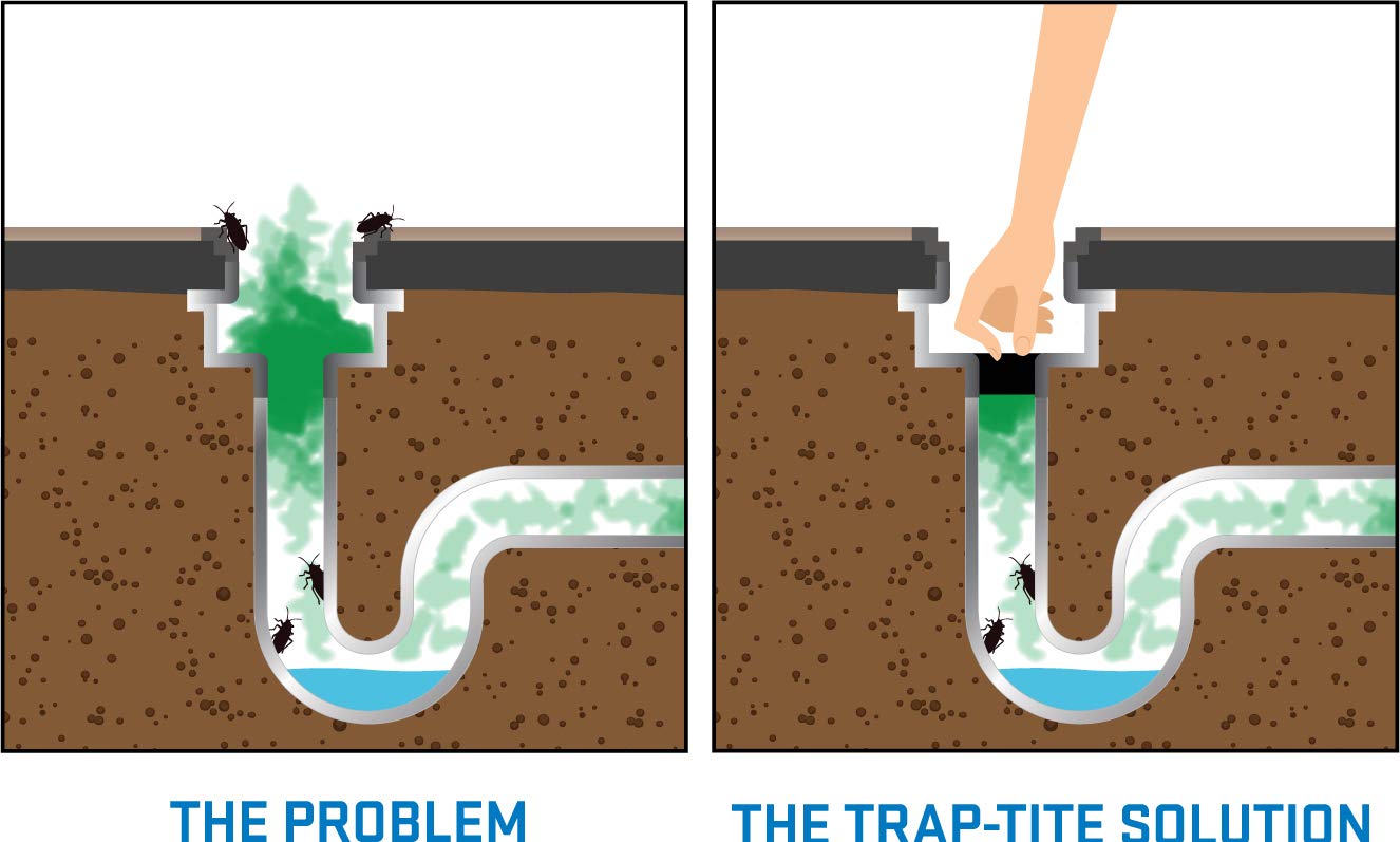 Basement floor drain trap online