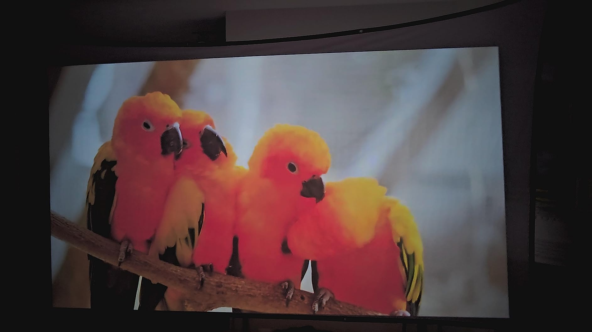 $25/mo - Finance 【Electric-Focus】Mini Projector, TOPTRO TR25 Outdoor ...