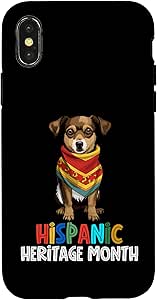 Amazon.com: iPhone X/XS Hispanic Heritage Month Latino Mexico Flags ...