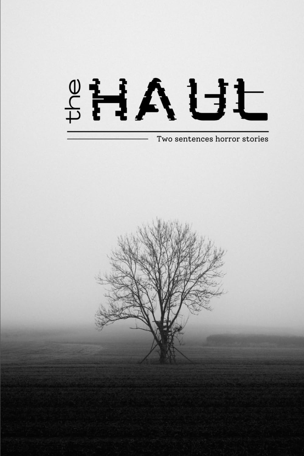 The Haul: Two sentences horror stories : Vera, Alejandro: Amazon.co.uk ...
