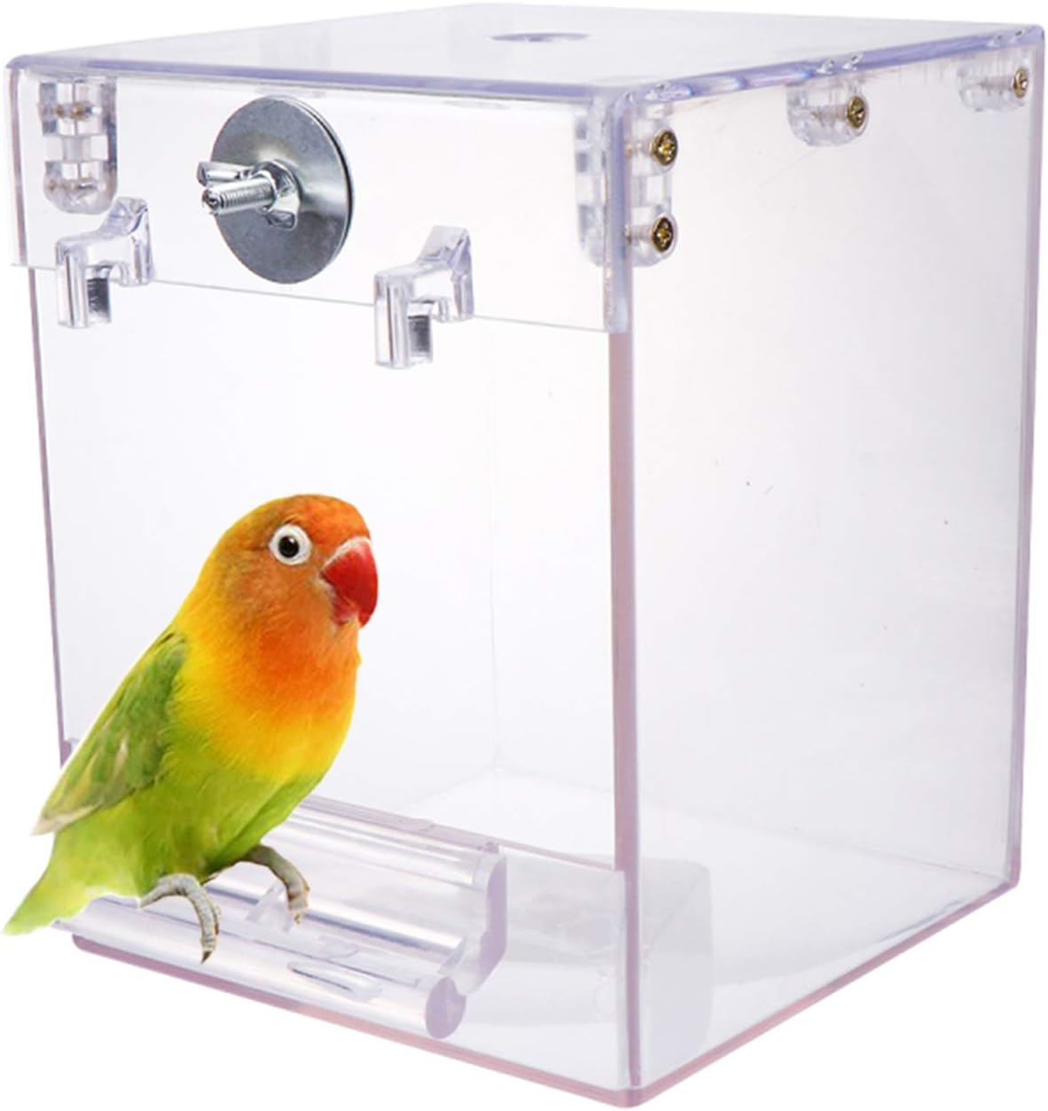 Amazon.com : PKHOUHYI Bird Bathtub Pool for Shower, Parrot Bird Bathtub ...