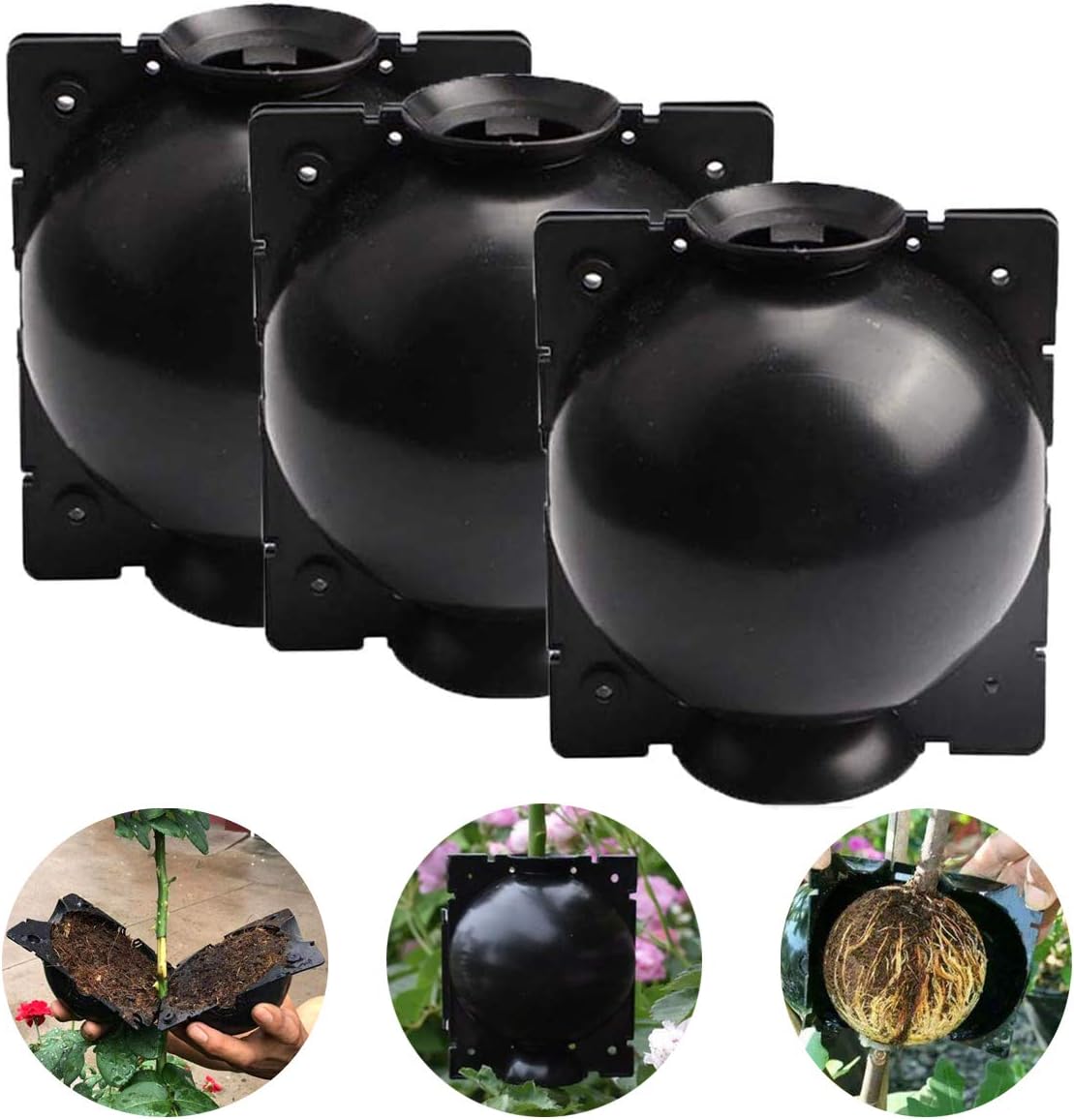 Amazon.com : YODSAN 3 Pack Plant Root Growing Box,High Pressure Air ...