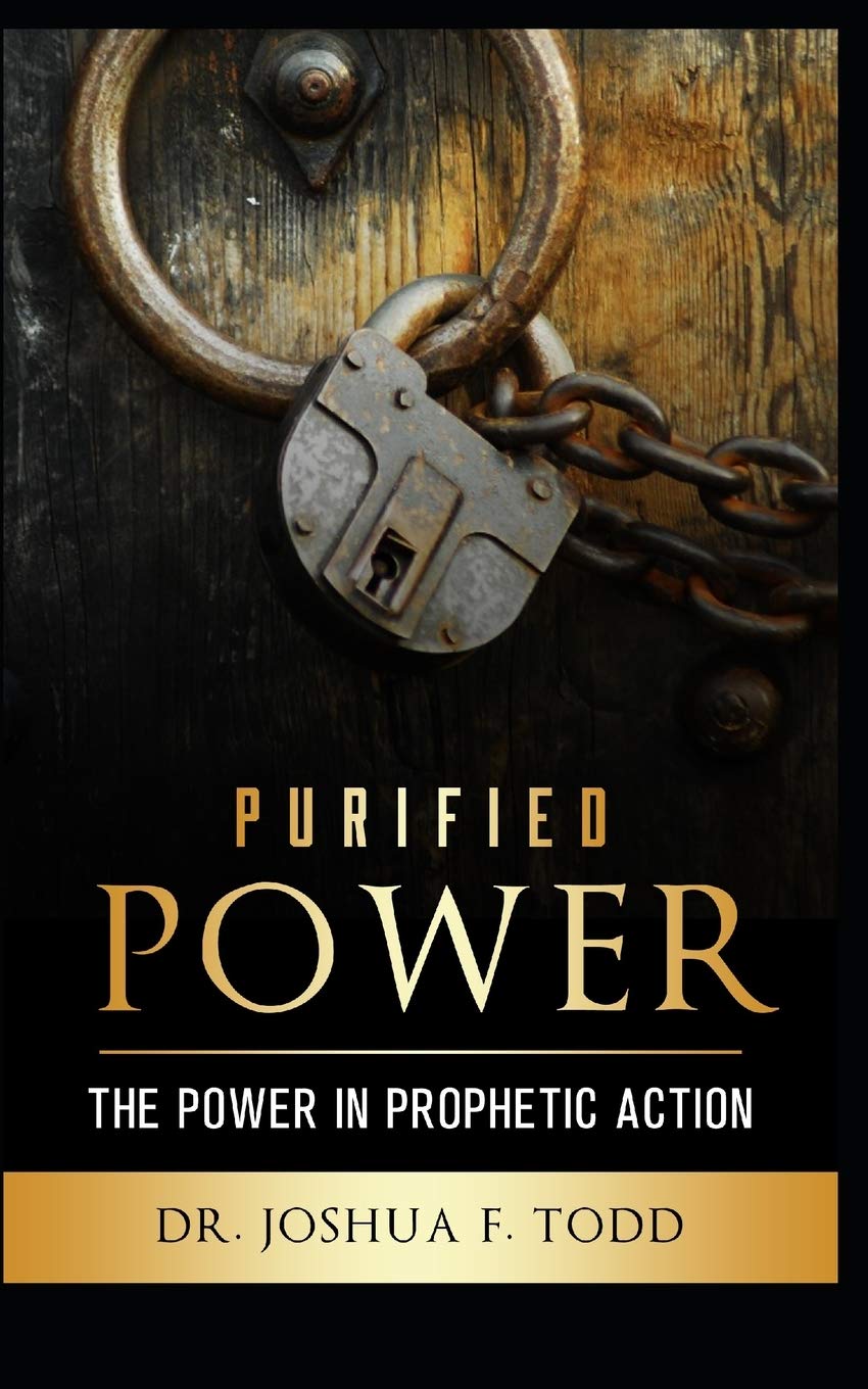 Purified Power: The Power in Prophetic Action (Purified Power and the Prophetic Pathway): Todd ...