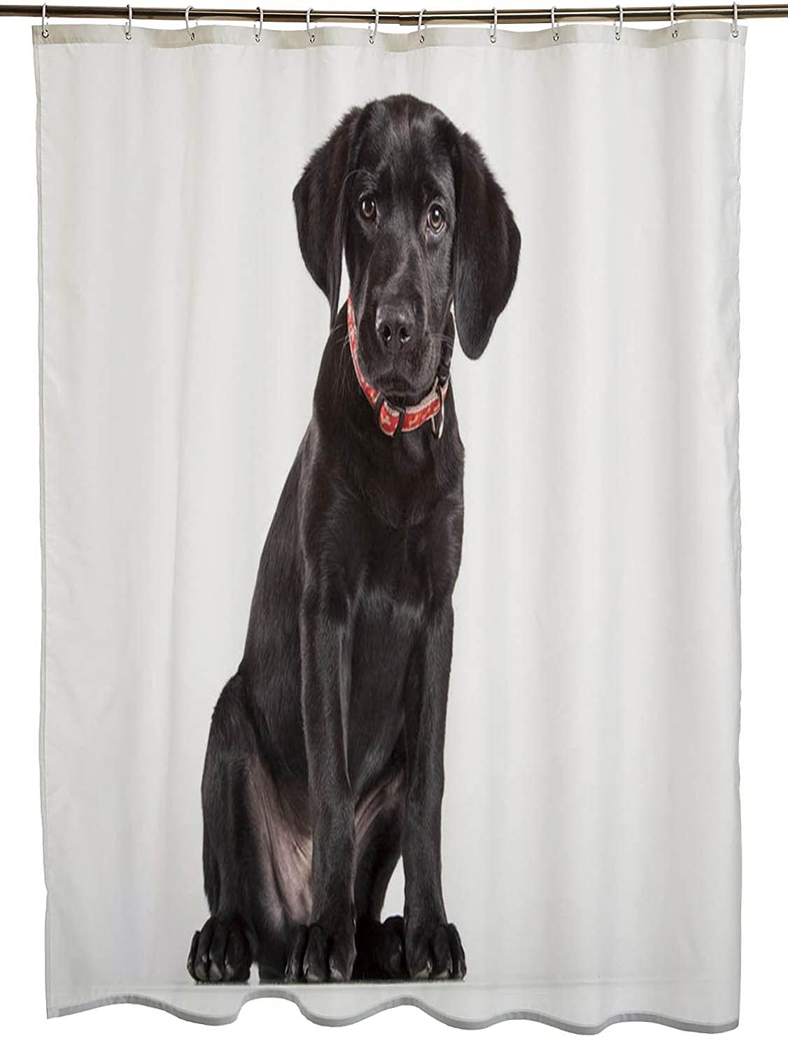 Chocolate Lab Shower Curtain