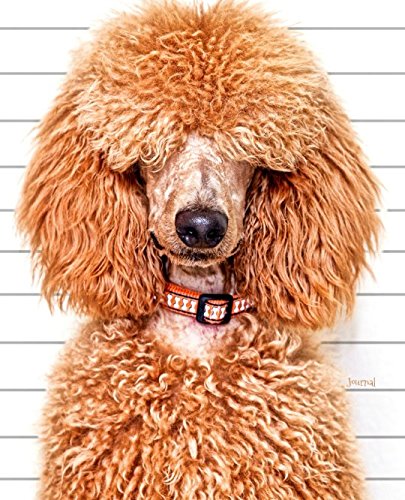 Amazon.com: Journal: Poodle: 9781973405382: Publications, Dreamflight