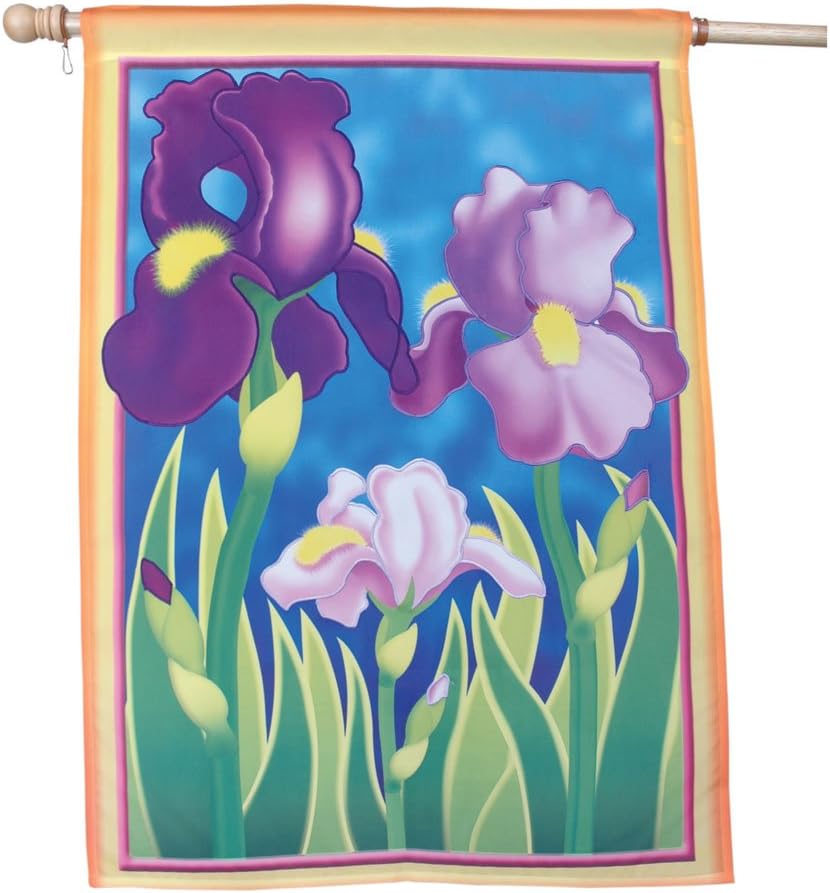 Amazon.com : Premier Kites 52623 House Brilliance Flag, Enchanting ...