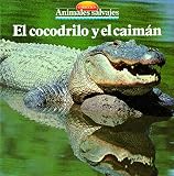 El Cocodrilo - Información y características para niños