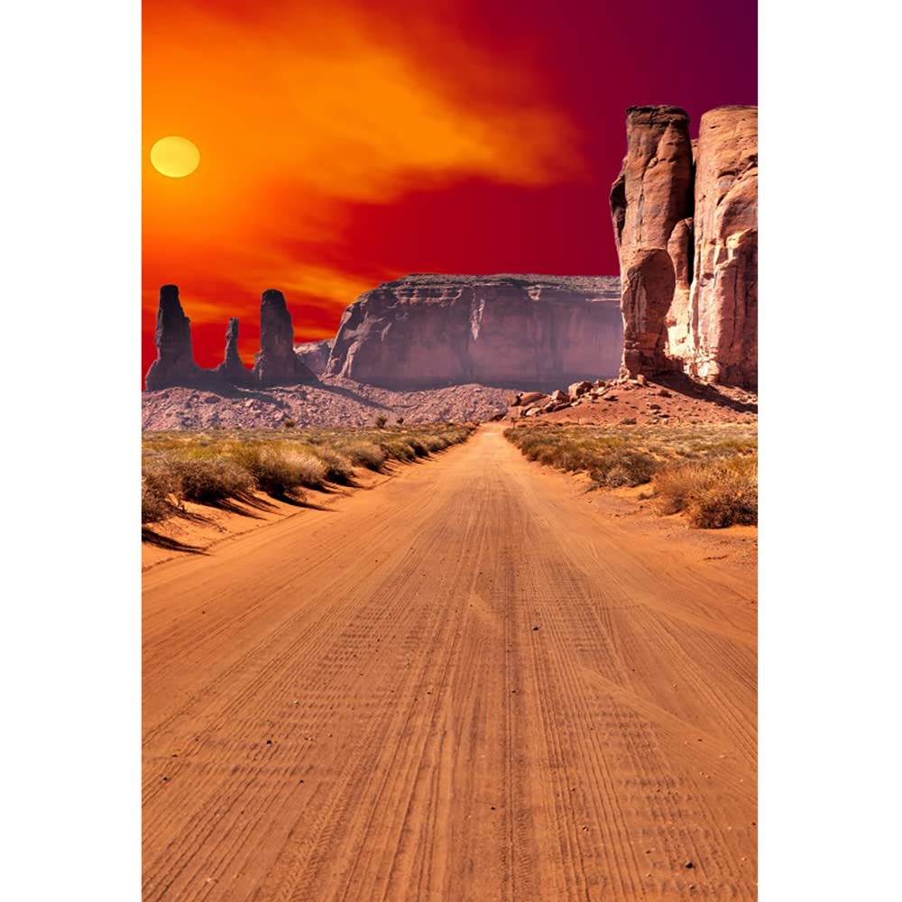 Western Desert Backdrop