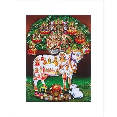 Religious Wall Sticker Poster|gomatha and kamdhenu Nepal | Ubuy
