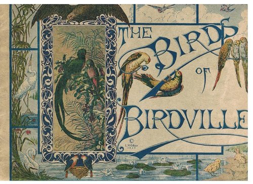 The Birds of Birdville: Album for the Collection of the Birds of ...