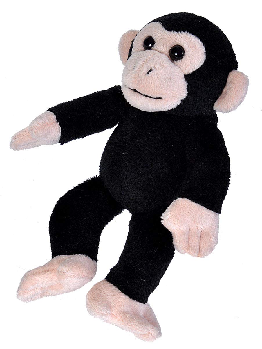 Amazon.com: Wild Republic Pocketkins Chimpanzee Stuffed Animal, Five ...