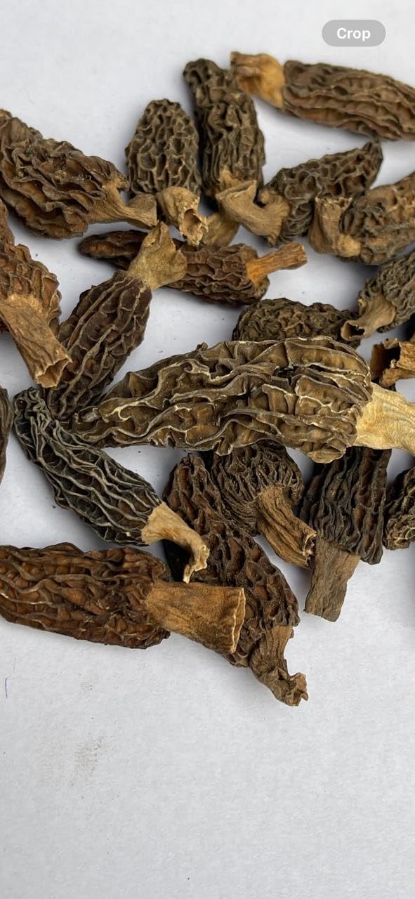 M&M Food Products, Wild Dried Gucchi Mushrooms, 250g, Morel Mushrooms ...